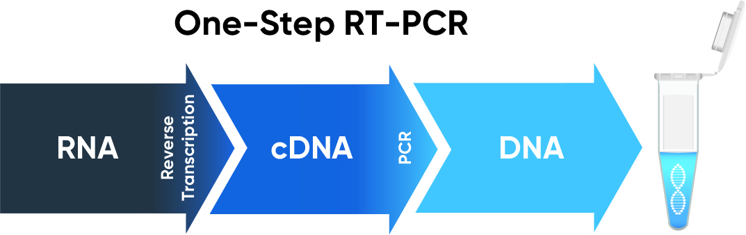 Accuris One-Step RT-PCR kit - Accuris Instruments