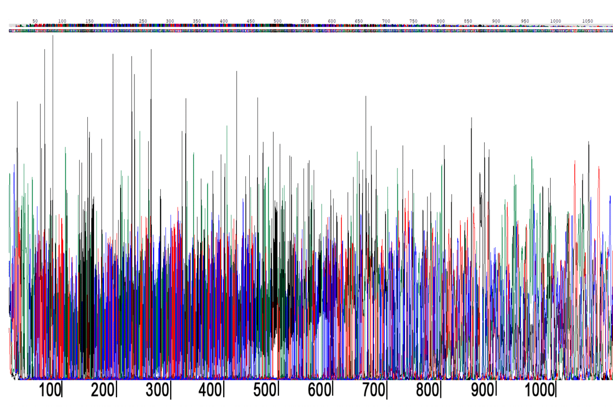 SmartDye™ Terminator v3.1 Cycle Sequencing Kit - Accuris Instruments