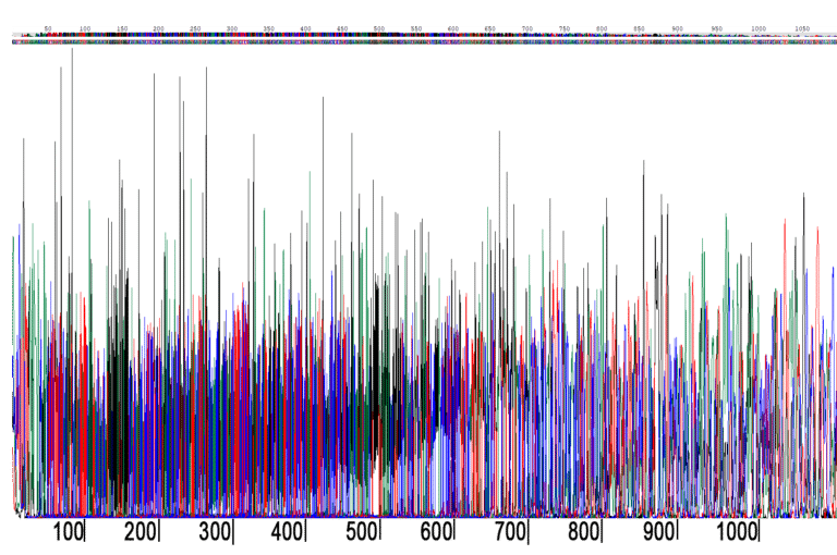 SmartDye™ Terminator v3.1 Cycle Sequencing Kit - Accuris Instruments